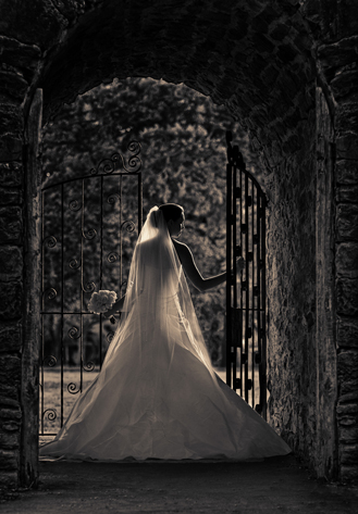 Crash Course to Seamless Color | Rangefinder