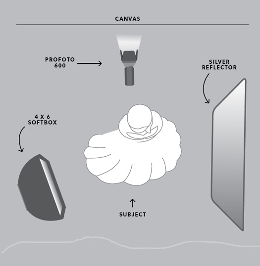 Portrait Lighting Setup Diagram