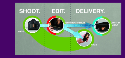 Crash Course to Seamless Color | Rangefinder