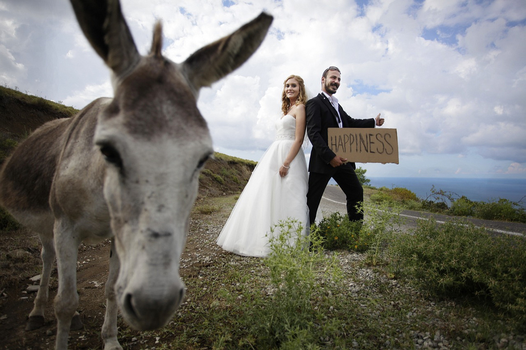 Here Comes the Bride… and Donkey [Friday Fun] | Rangefinder