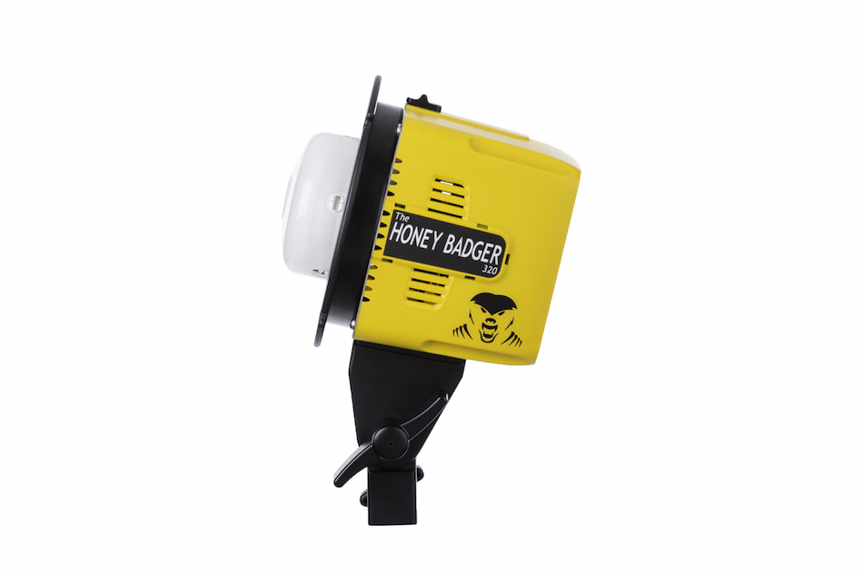 Interfit Photographic Honey Badger Studio Flash