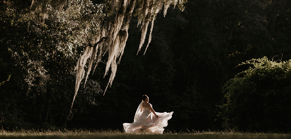 Twirling By the Tall Oak Tree [Rf Photo of the Day]