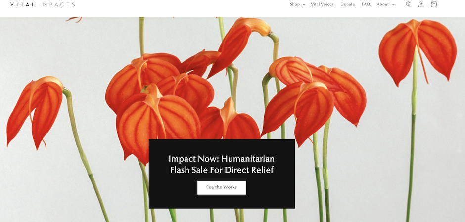 In Memoriam: Anesha Collins, Photographer, Cinematographer & WPPI ...